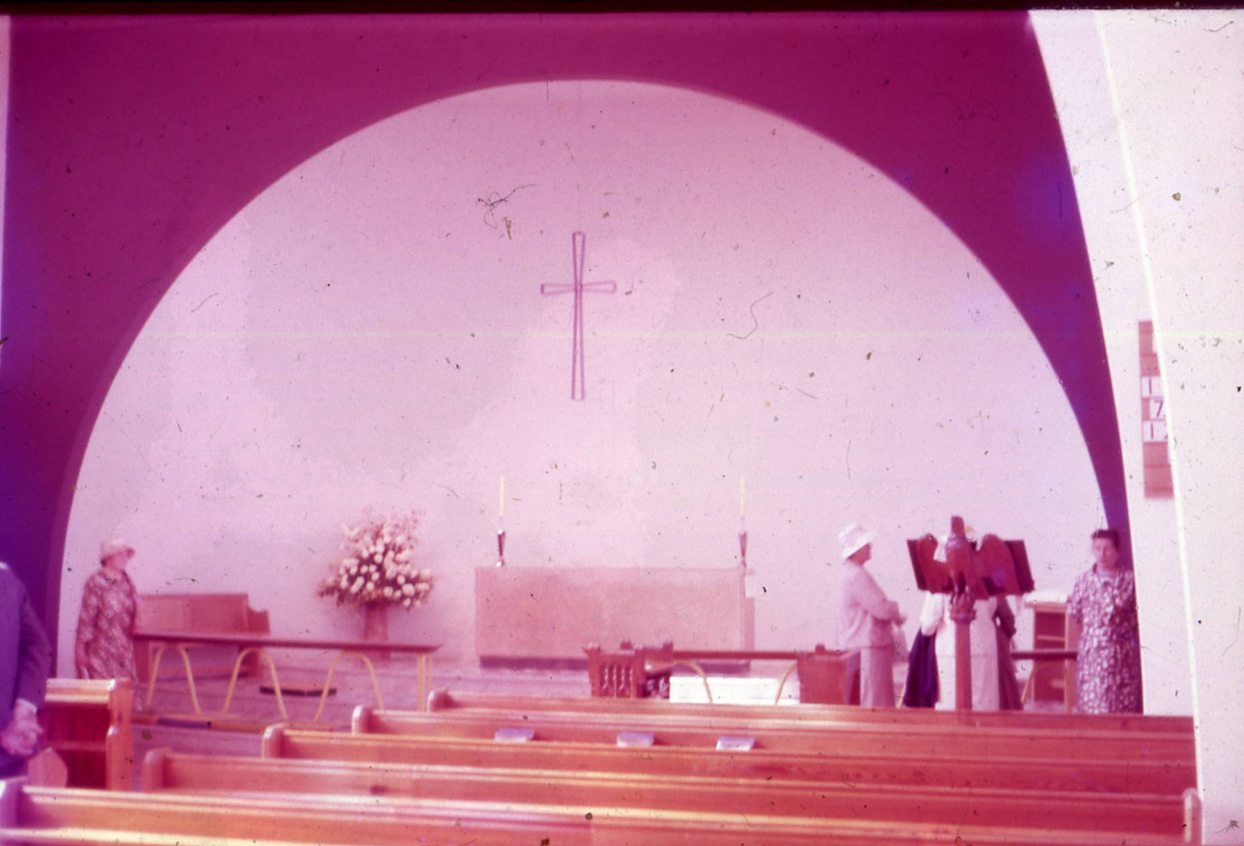 Phiweb - Harry coombs Photos