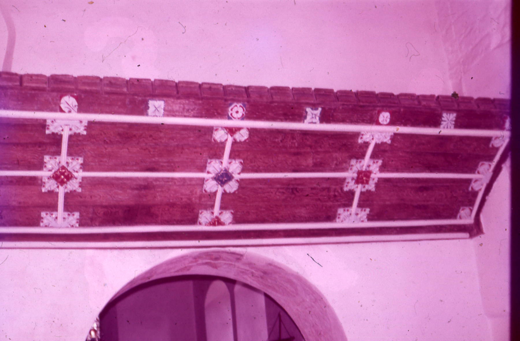 Phiweb - Harry coombs Photos