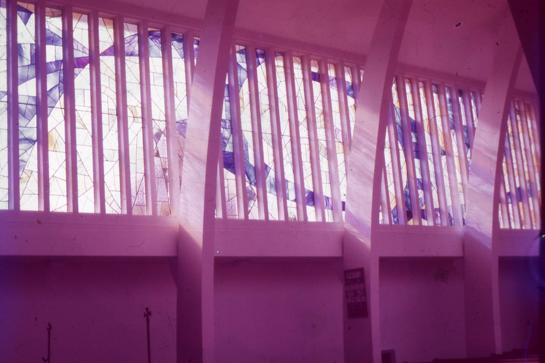 Phiweb - Harry coombs Photos