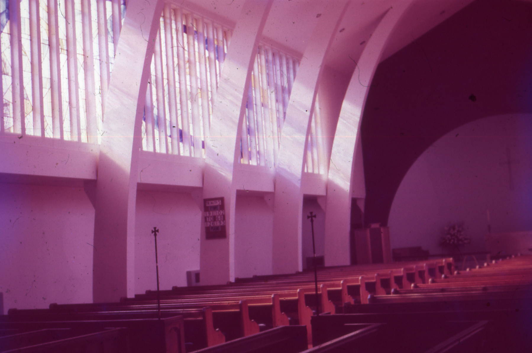 Phiweb - Harry coombs Photos