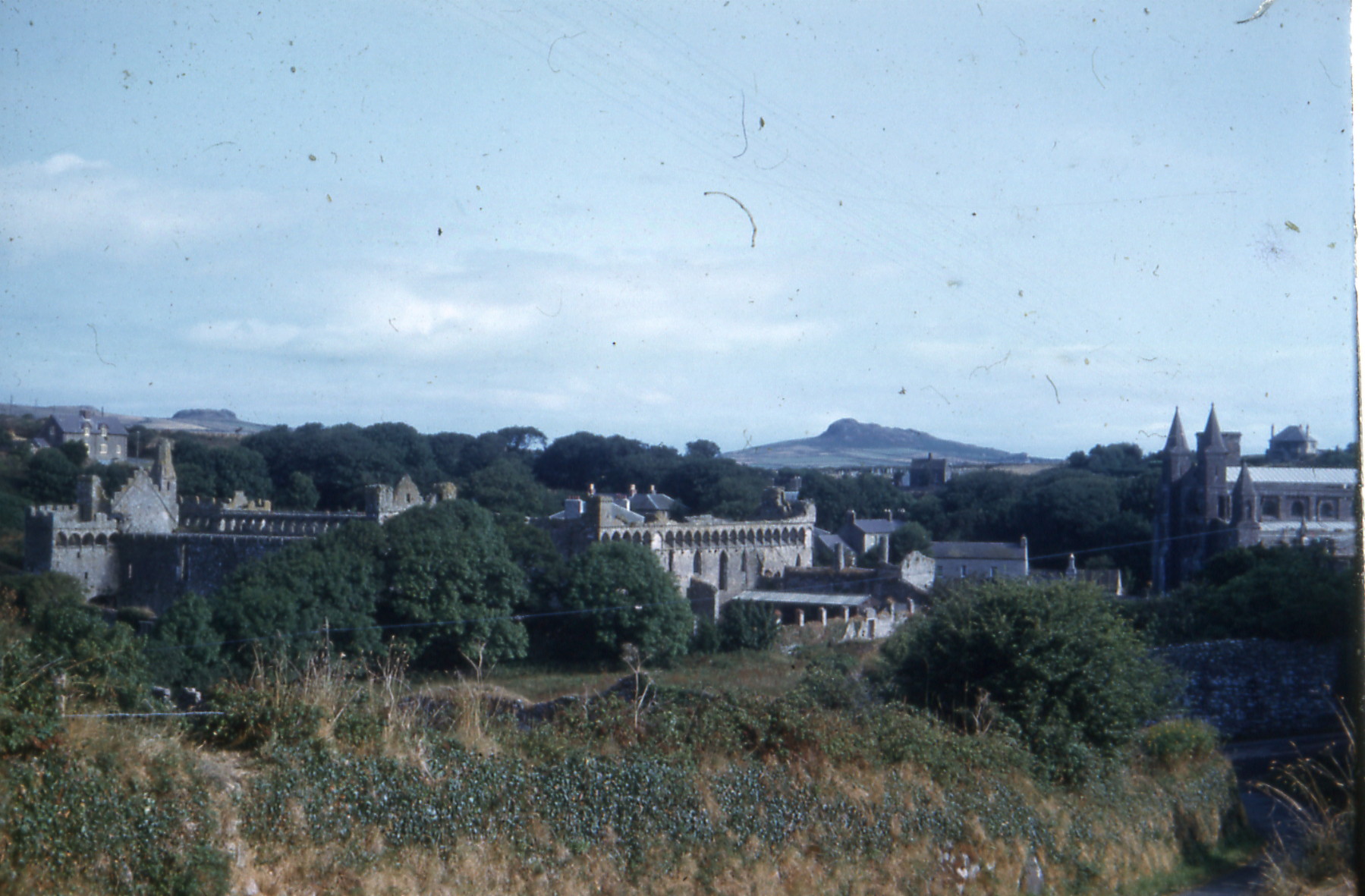 Phiweb - Harry coombs Photos