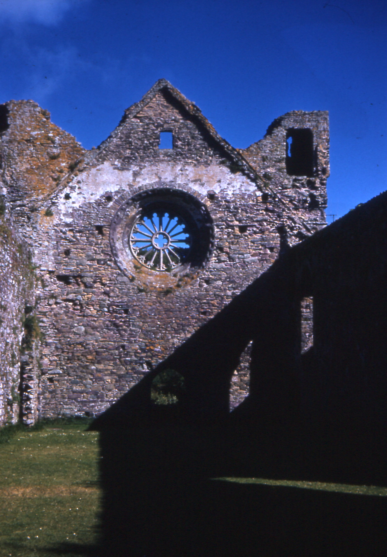 Phiweb - Harry coombs Photos