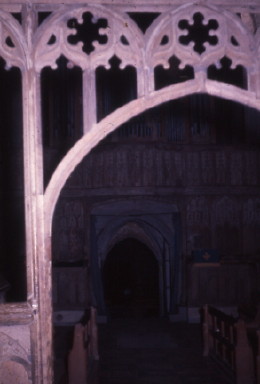 Phiweb - Harry coombs Photos