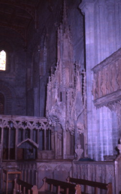 Phiweb - Harry coombs Photos