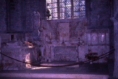 Phiweb - Harry coombs Photos